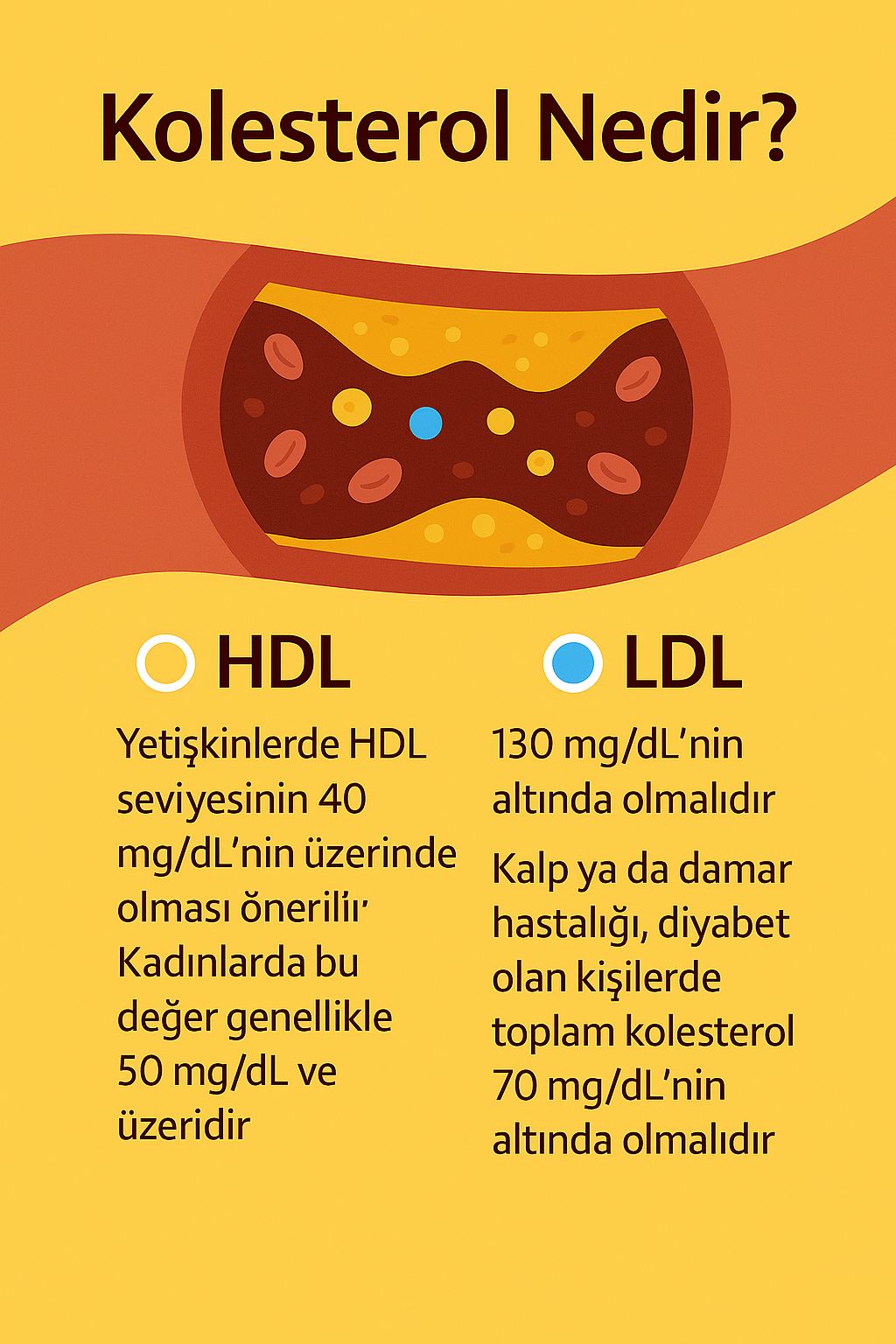 Kolesterol Nedir? HDL ve LDL Kolesterolin Farkı - Prof. Dr. Selim İsbir